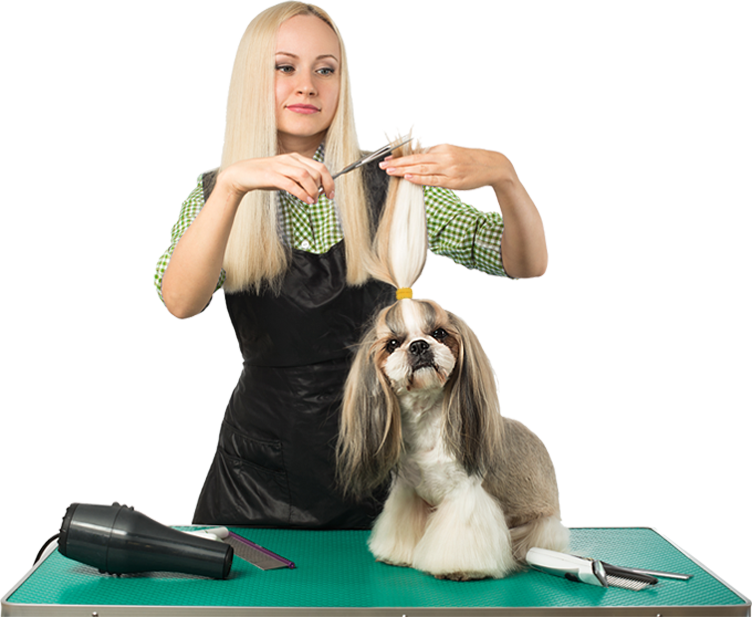 Pet Grooming Service at Home in Delhi NCR, 999 For Dog and Cat